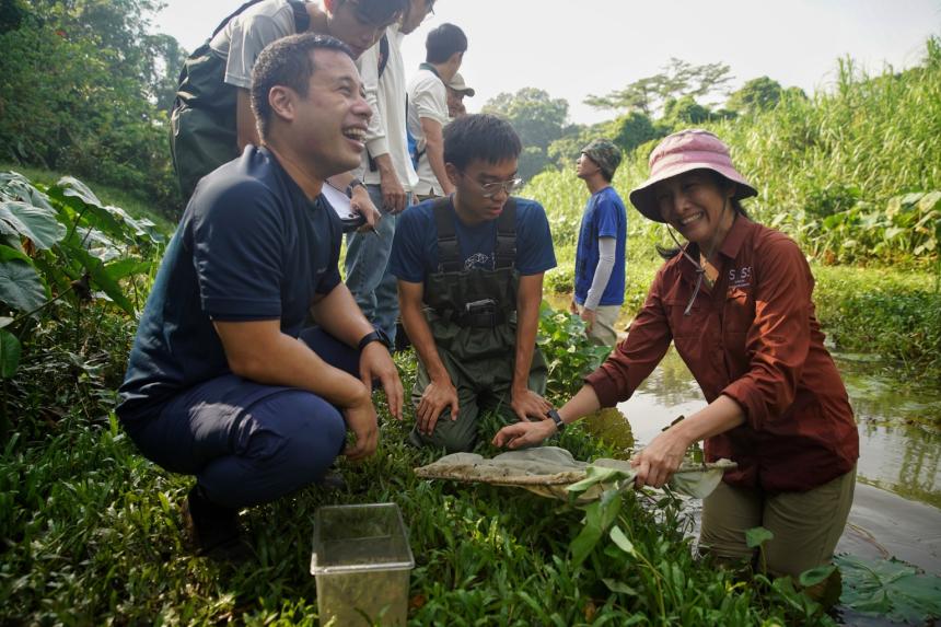 Clementi Forest nature trail to be further enhanced, public helps with nature survey | The ...